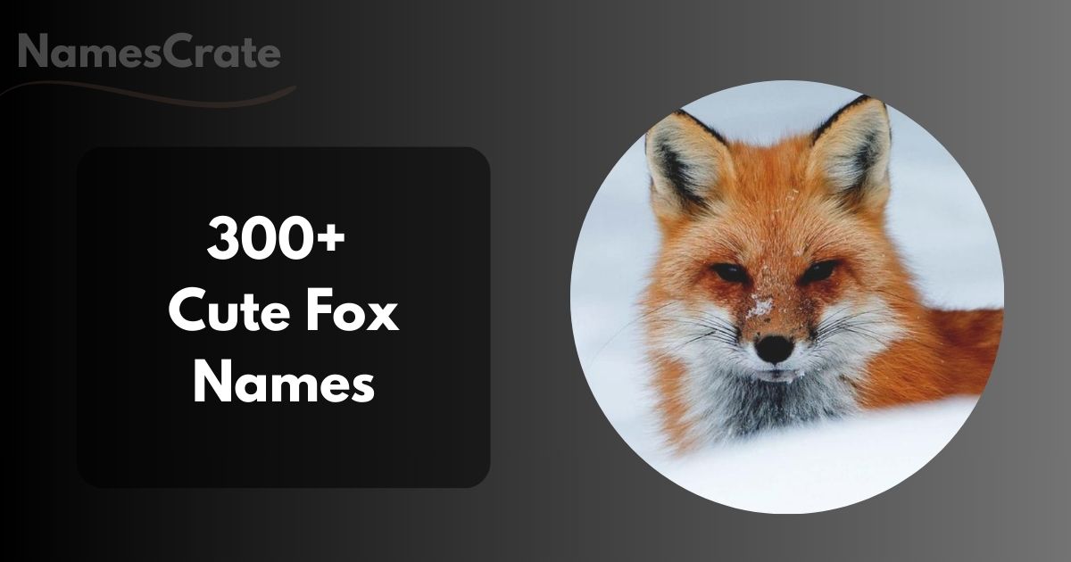 300+ Fox Names with Cute, Clever & Funny Choices