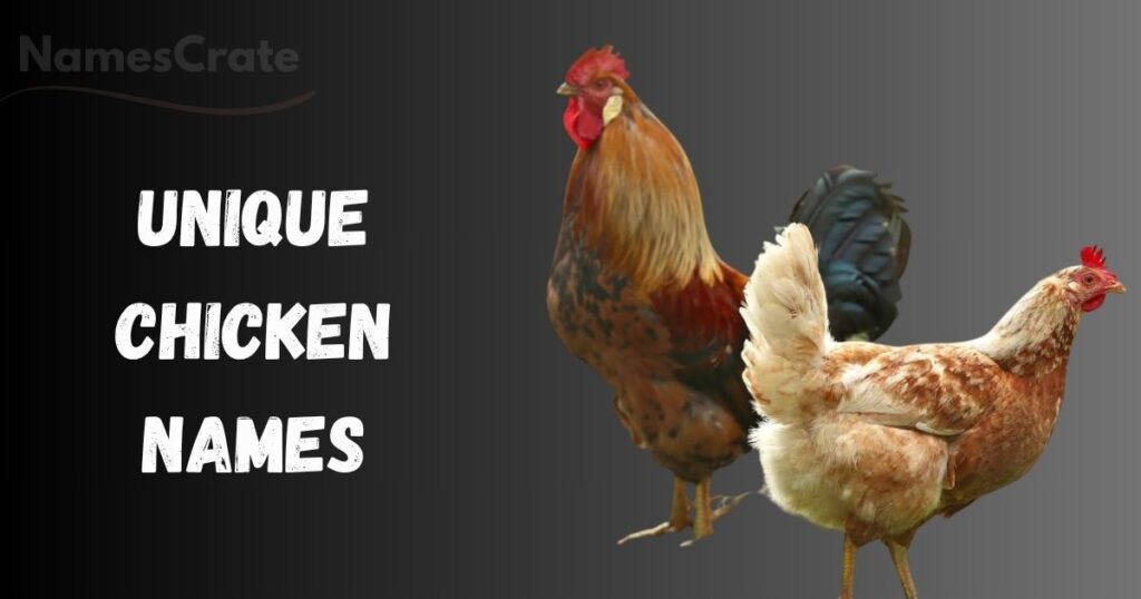 200+ Best Chicken Names to Add Personality to Your Flock