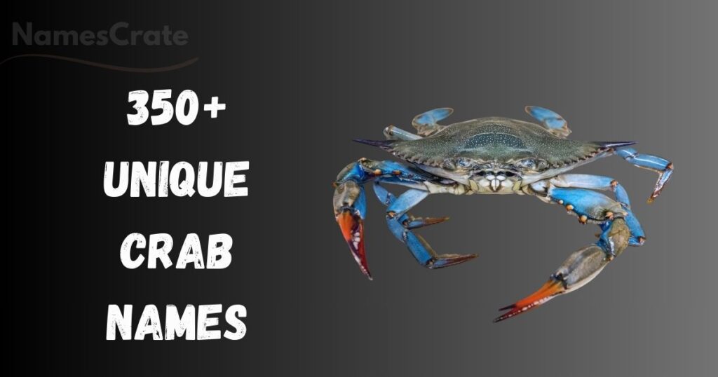 350+ Crab Names With Unique Famous, & Cute Choices [2025]