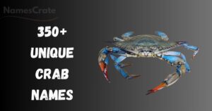 350+ Crab Names With Unique Famous, & Cute Choices [2025]