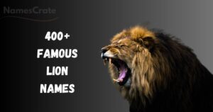 400+ Famous Lion Names: Male, And Female [2025]