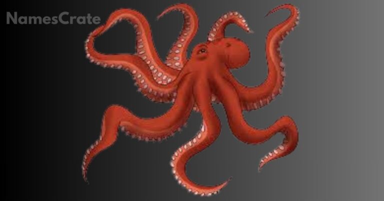 200+ Octopus Names: Best, Unique and Popular